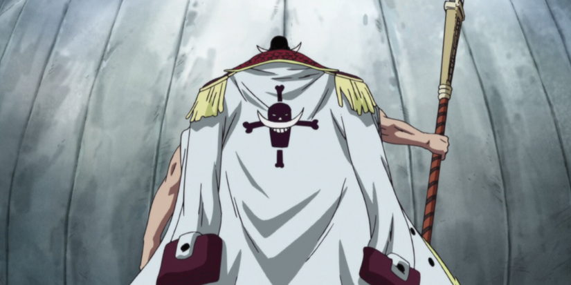 Nakama & 9 Other One Piece Concepts You Can't Appreciate If You Don't ...