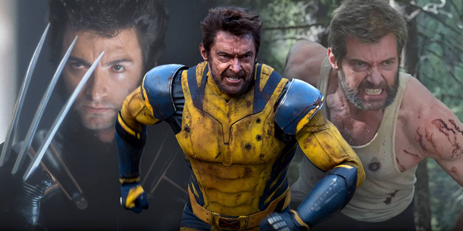 10 Hugh Jackman Wolverine Scenes That Are Perfect From Beginning to End