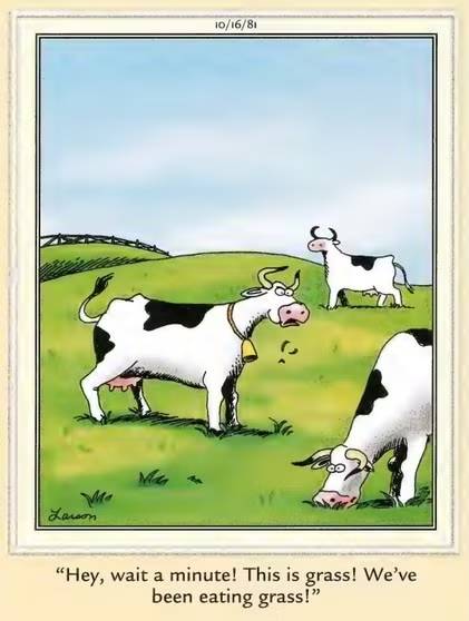 10 The Far Side Comics From 1981 That Prove Gary Larson is a Genius