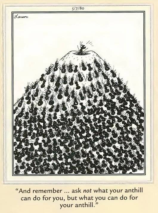 10 Hilarious The Far Side Comics About Ants, Ranked