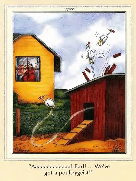 10 Hilarious The Far Side Comics About Haunted Houses, Ranked