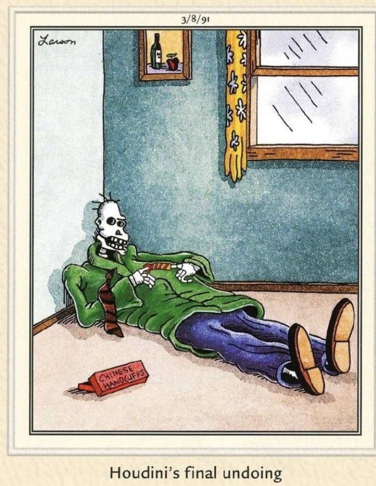 10 Funniest Far Side Comics That Have Witches and Magicians, Ranked