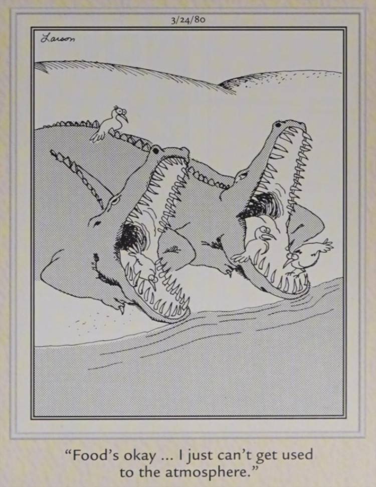 10 Funniest Far Side Comics Featuring Birds, Ranked