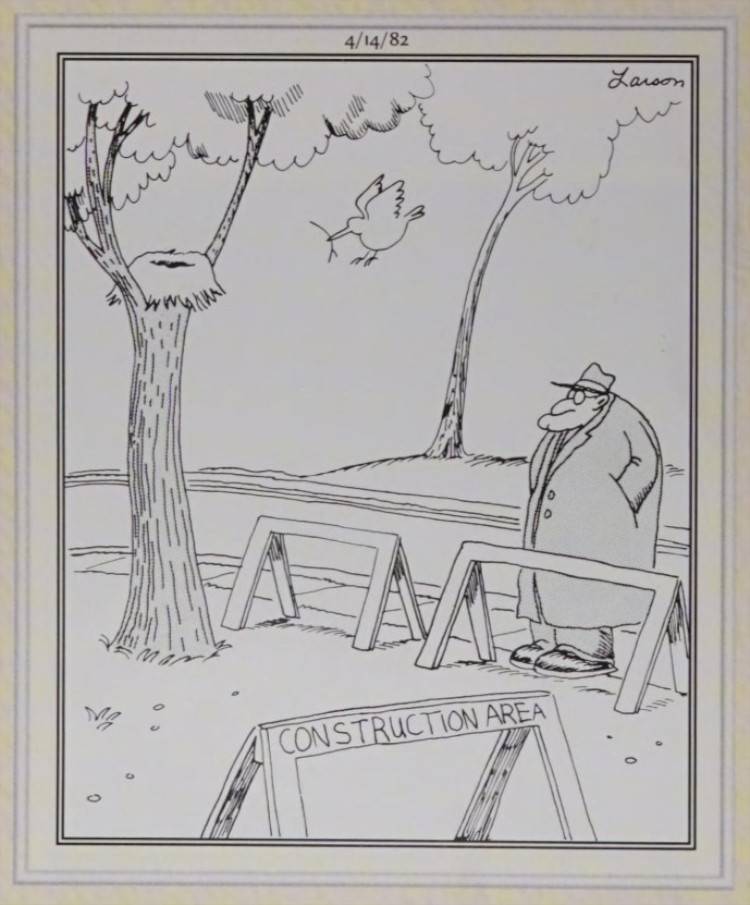 10 Funniest Far Side Comics Featuring Birds, Ranked