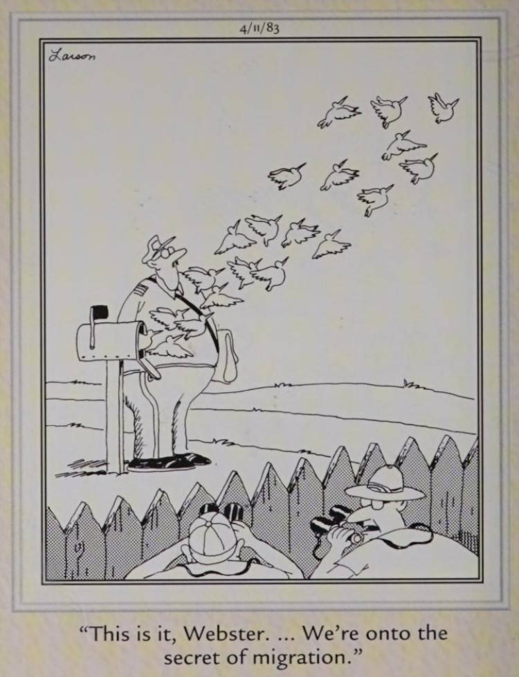 10 Funniest Far Side Comics Featuring Postal Workers, Ranked