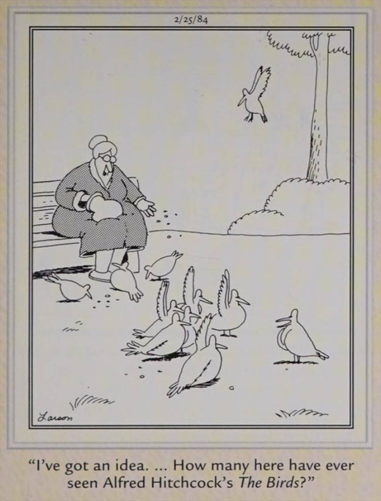 10 Funniest Far Side Comics Featuring Birds, Ranked