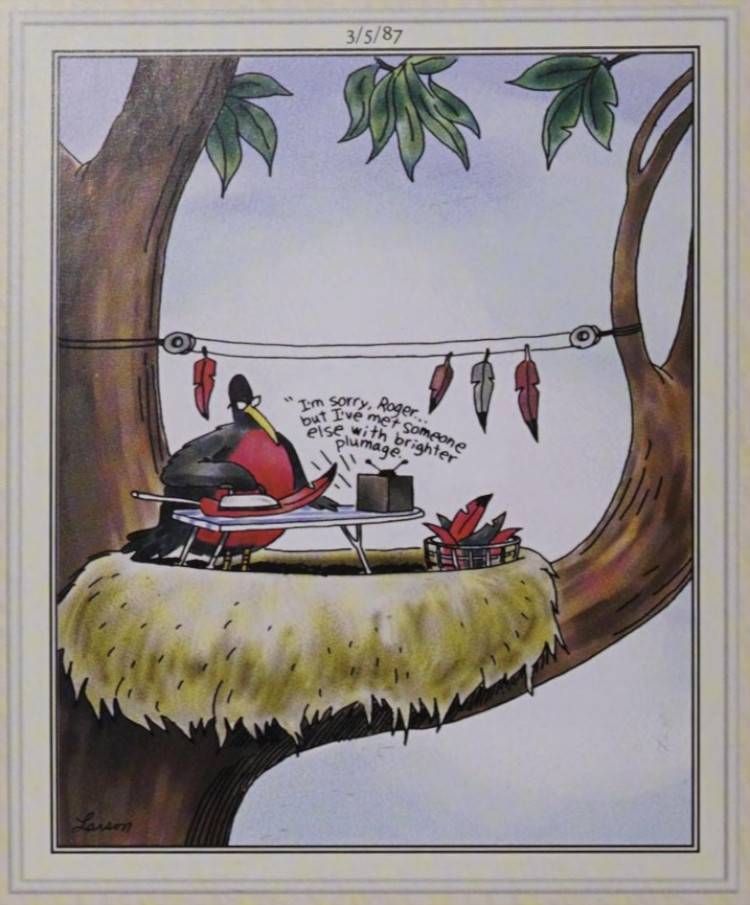 10 Funniest Far Side Comics Featuring Birds, Ranked