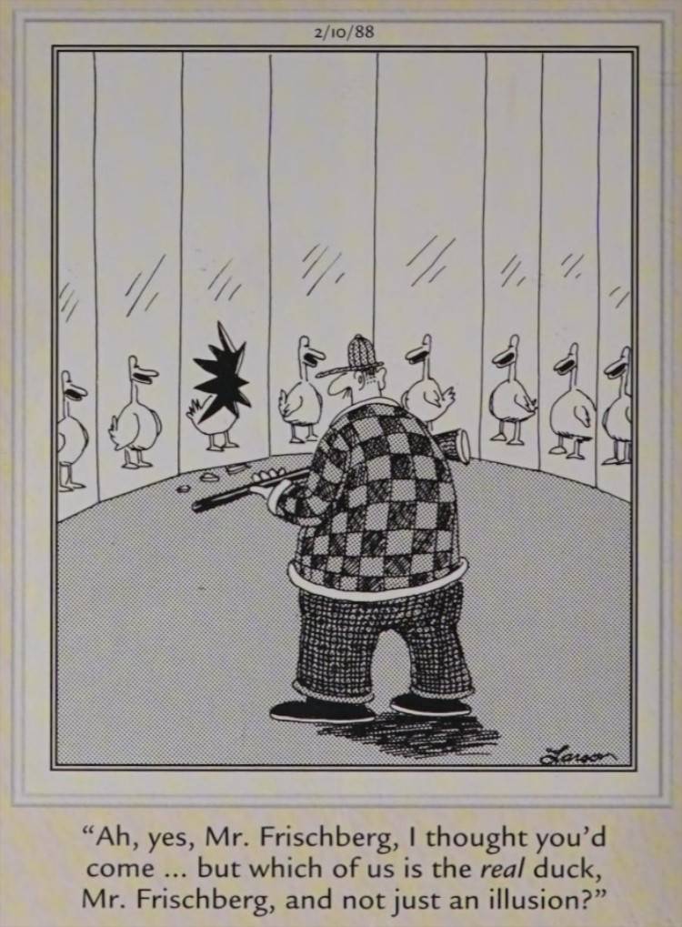 10 Funniest Far Side Comics Featuring Birds, Ranked