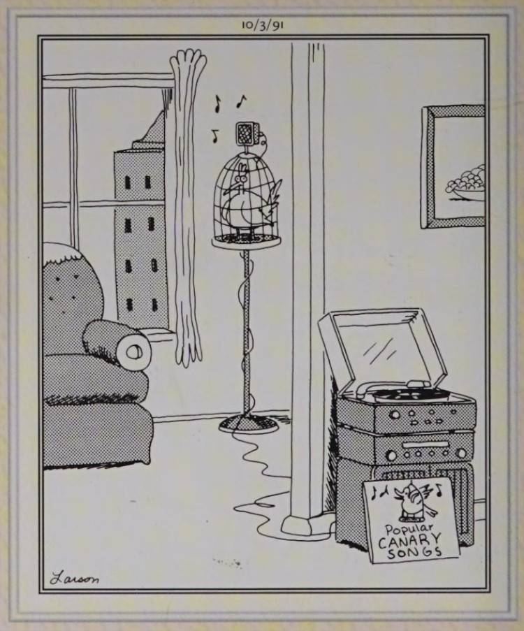 10 Funniest Far Side Comics Featuring Birds, Ranked