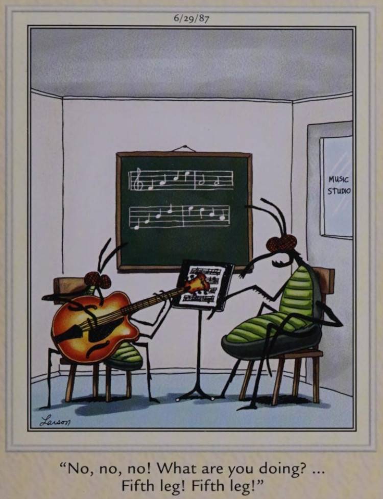 10 Unluckiest Musicians In The Far Side, Ranked