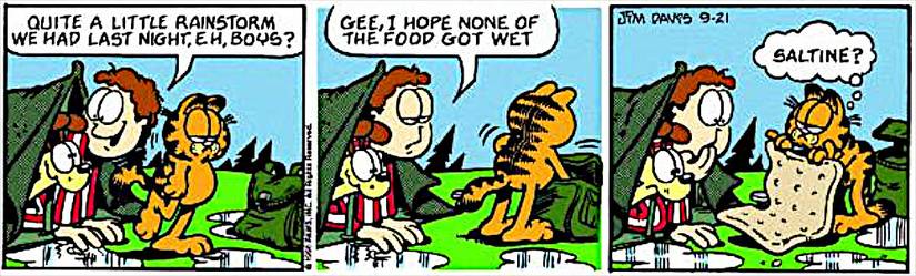 10 Funniest Garfield Camping Trips, Ranked