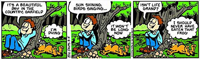 10 Funniest Garfield Camping Trips, Ranked