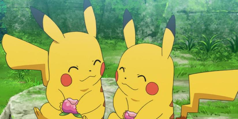 10 Things Casual Pokémon Fans Always Get Wrong About the Games