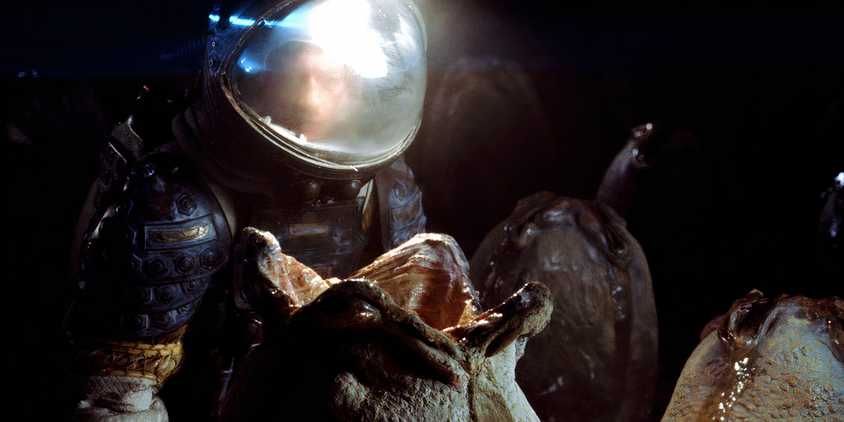 39 Years Later, This Sci-Fi Horror Movie Is Still 1 of the Best Remakes ...