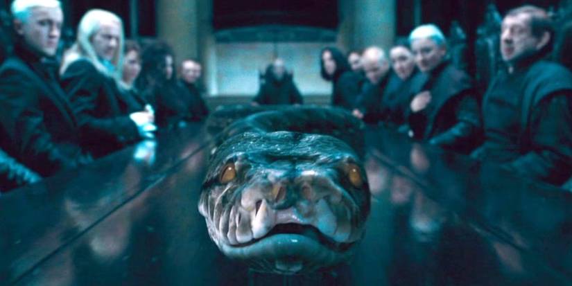 Harry Potter Fans Are Reviving the Wildest Voldemort Theory 17 Years ...