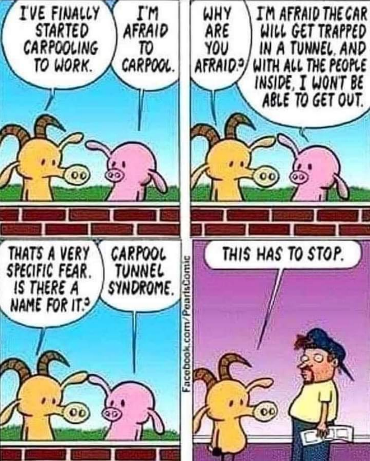 10 Best Fourth Wall-Breaking Pearls Before Swine Comics, Ranked