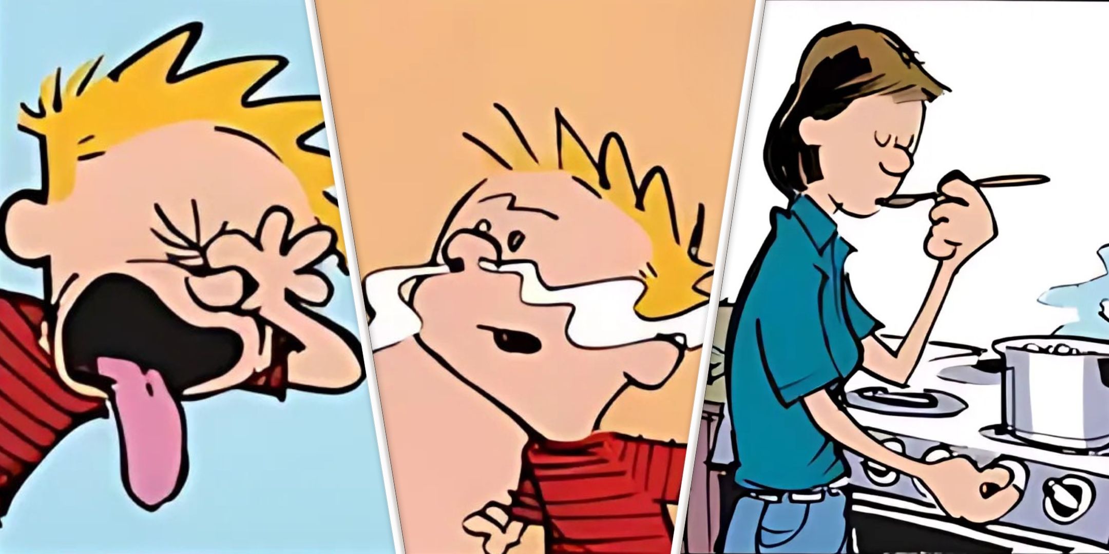 15 Best Calvin and Hobbes Strips Without Words