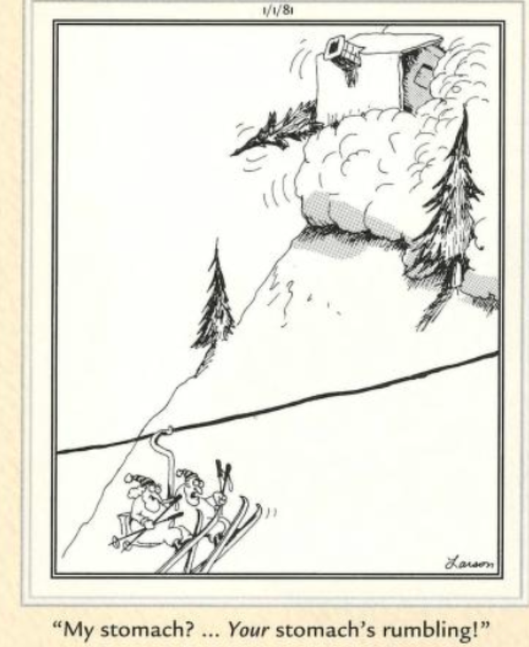 10 Funniest Far Side Comics About Winter Sports