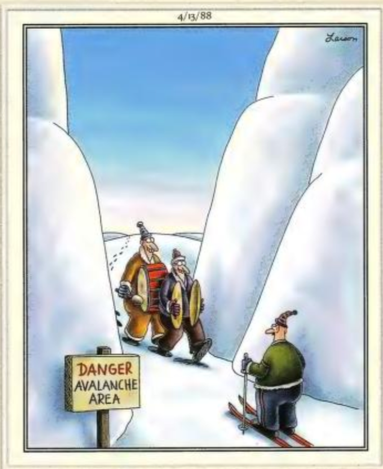 10 Funniest Far Side Comics About Winter Sports