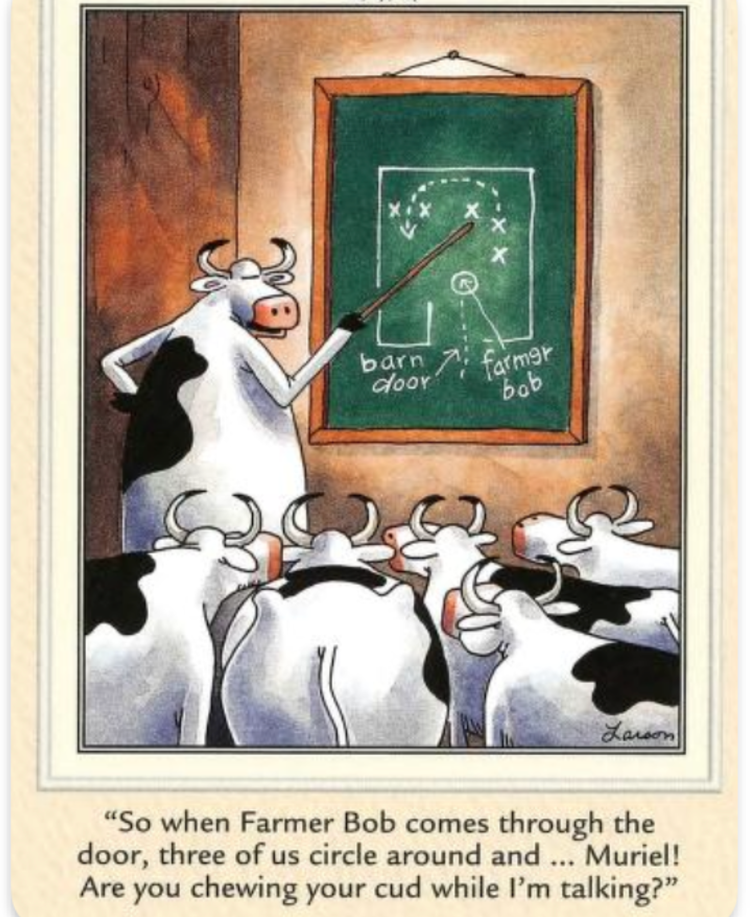 10 Funniest Far Side Comics About Football