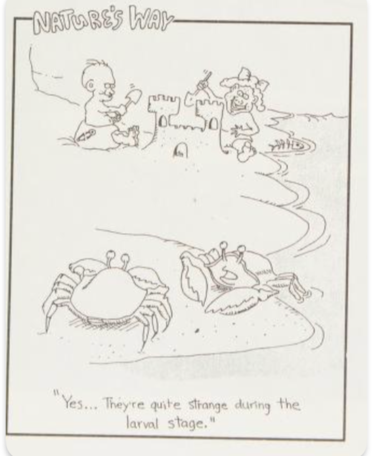 10 Best The Far Side Comic Strips From The '70s, Ranked