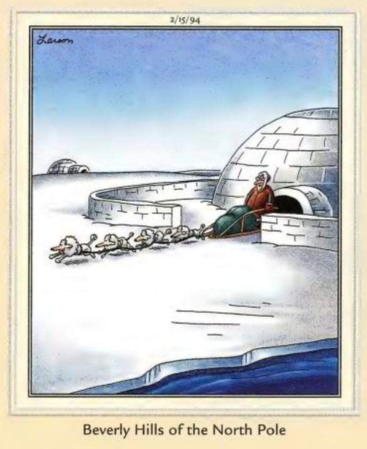10 Funniest Far Side Comics About Winter Sports