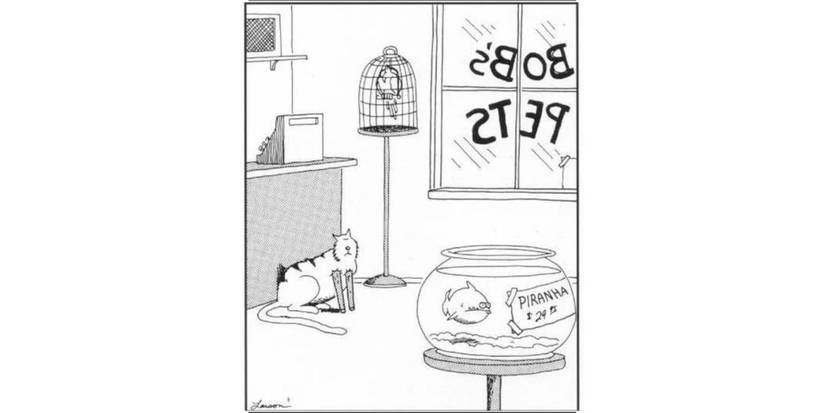 25 Funniest The Far Side Comics