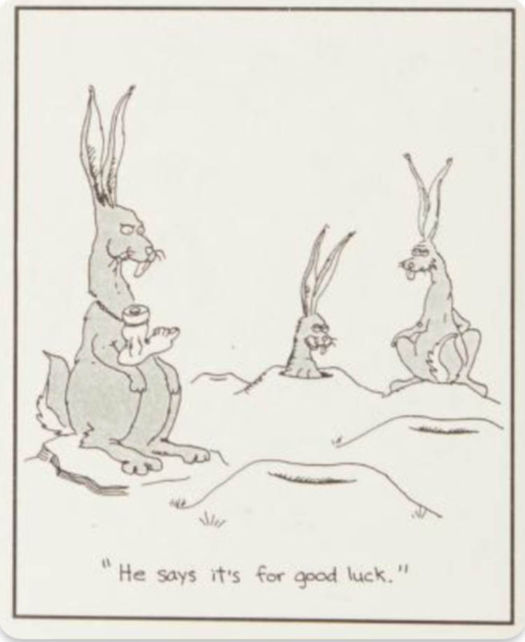10 Best The Far Side Comic Strips From The '70s, Ranked