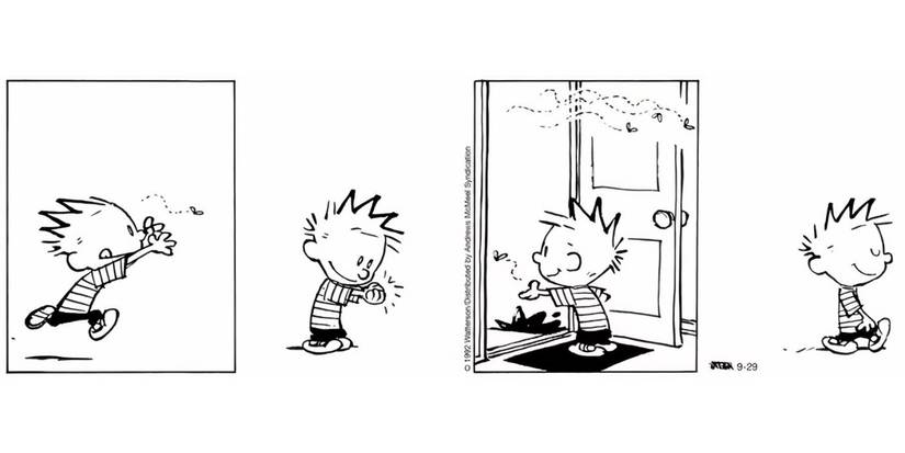 15 Best Calvin and Hobbes Strips Without Words