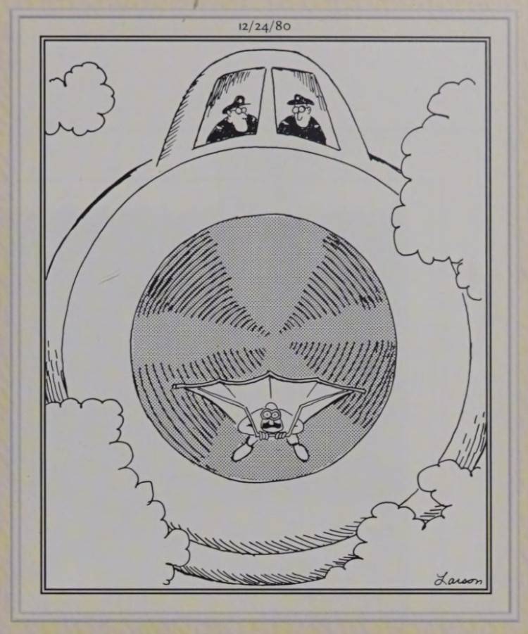 10 Funniest Aerial Accidents In The Far Side Comics, Ranked