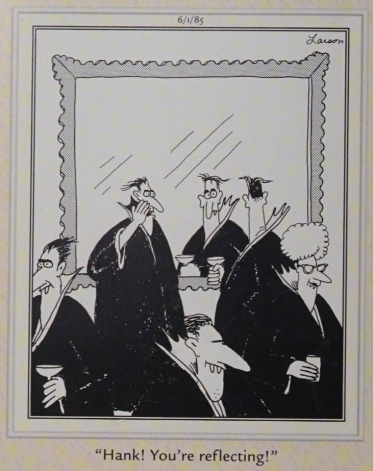 10 Hilarious Far Side Comics About Vampires