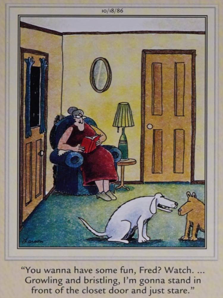 10 Hilarious Far Side Comics About Our Pets