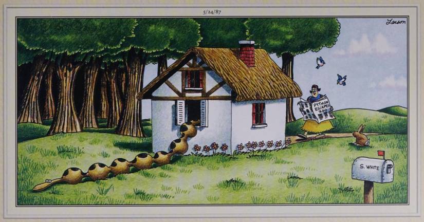 10 Far Side Comics That Are Perfect For Fantasy Fans