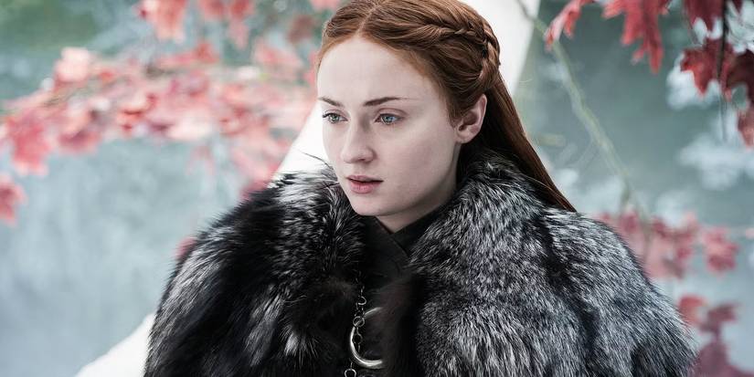 10 Years Later, Game of Thrones' Most Controversial Sansa Stark Change ...