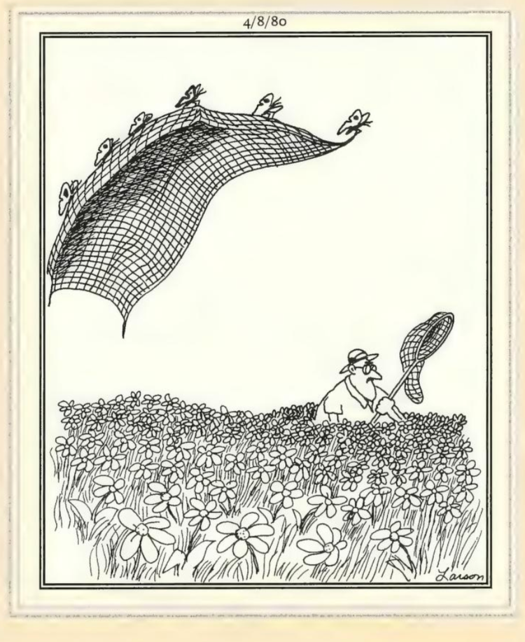 10 Funniest Far Side Comics featuring Butterflies, Ranked