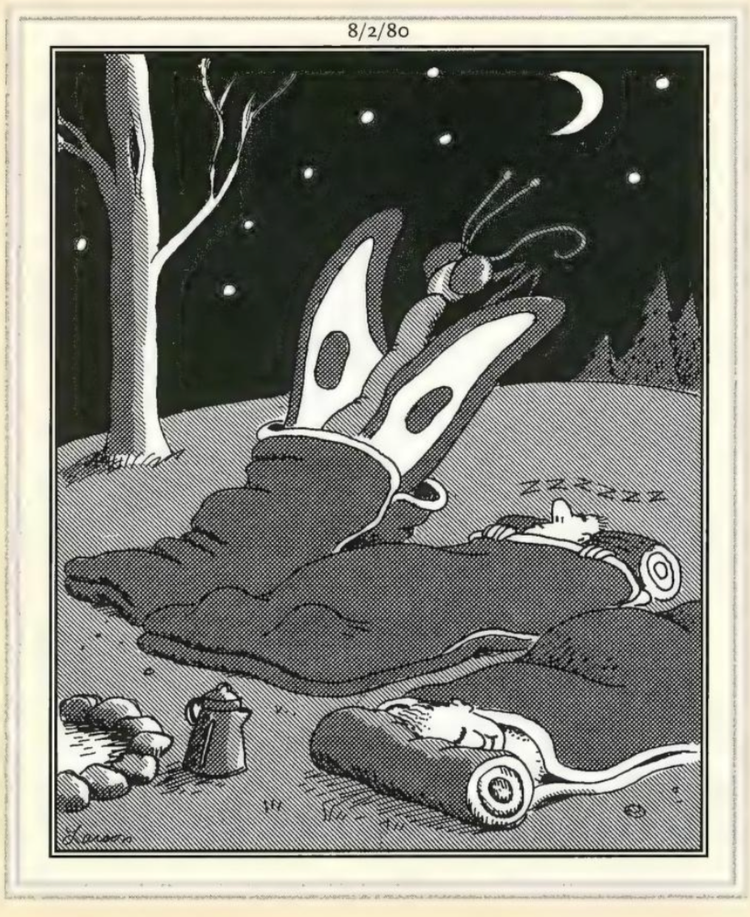 10 Funniest Far Side Comics featuring Butterflies, Ranked