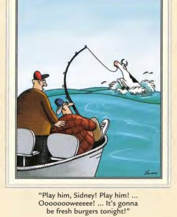 10 Funniest Far Side Comics About Fishing, Ranked