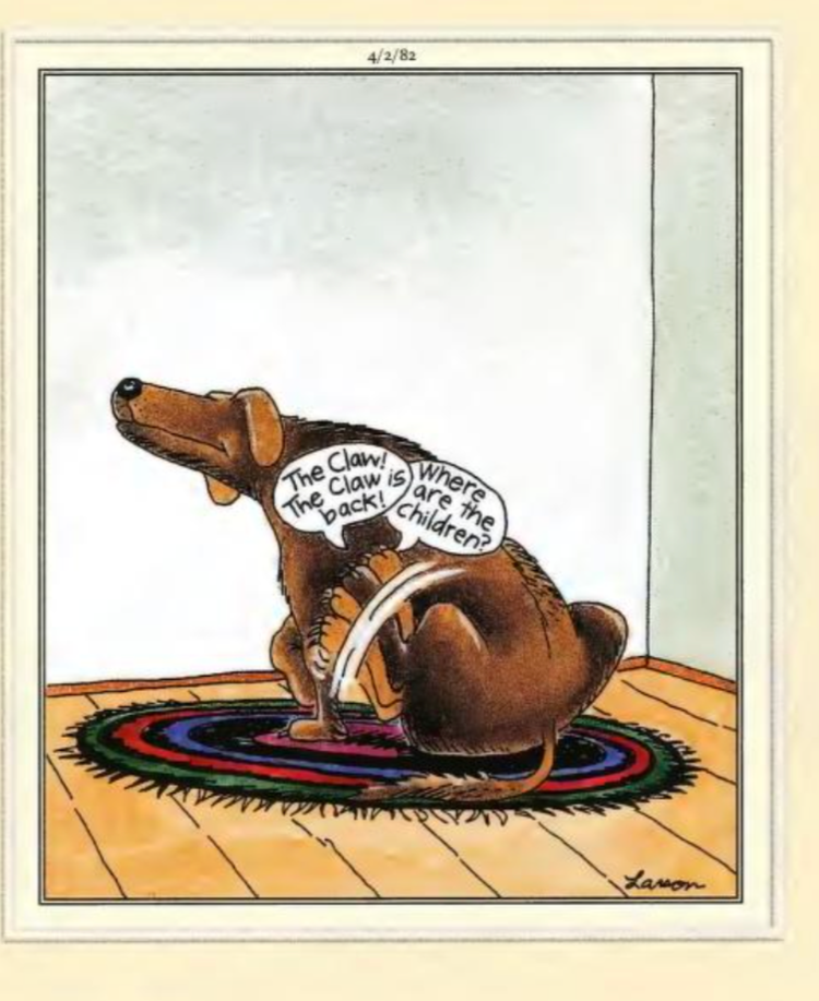 10 Funniest Far Side Comics Featuring Fleas, Ranked