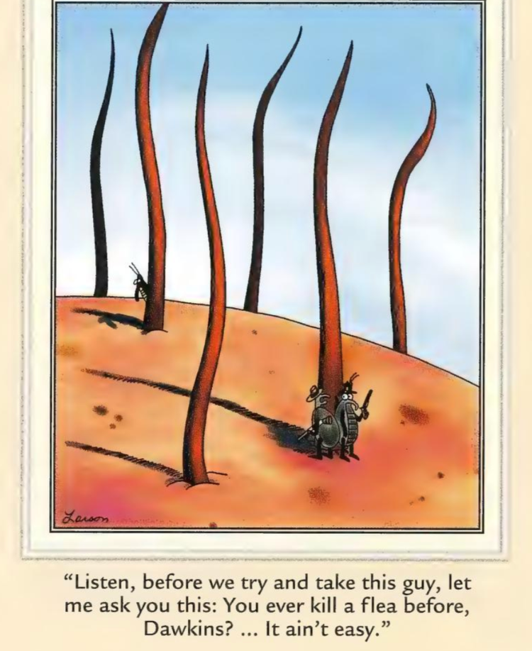 10 Funniest Far Side Comics Featuring Fleas, Ranked
