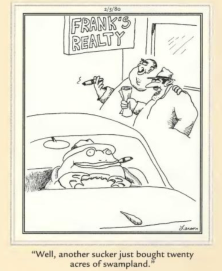 The 10 Funniest Far Side Comics Featuring Frogs