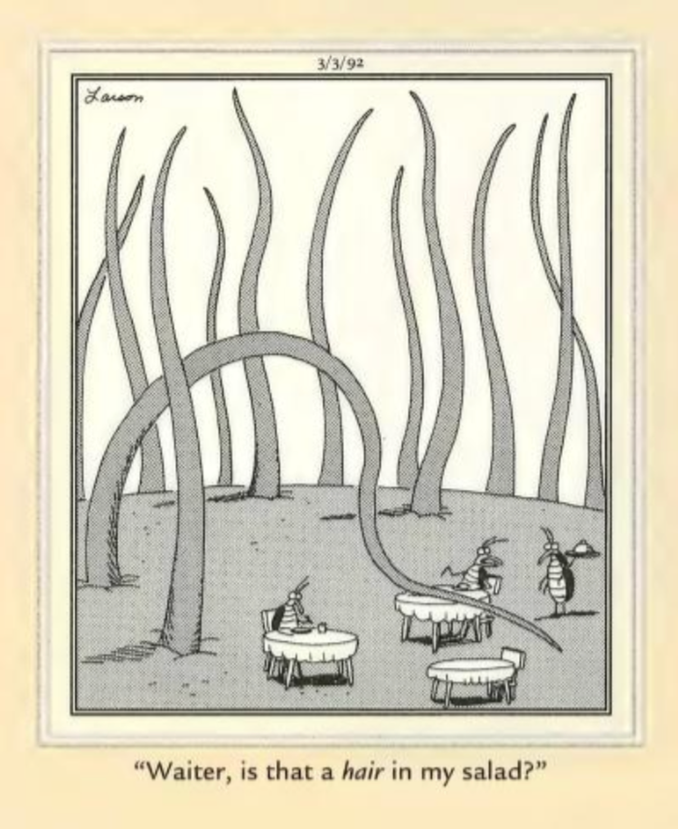 10 Funniest Far Side Comics Featuring Fleas, Ranked