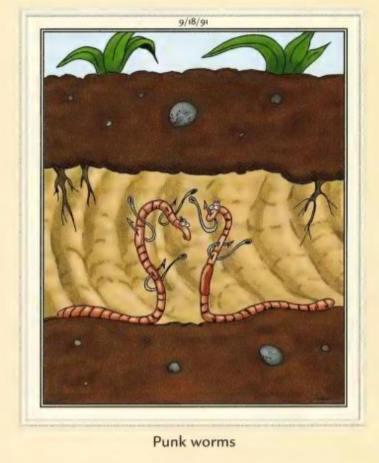 10 Funniest Far Side Comics featuring Worms, Ranked