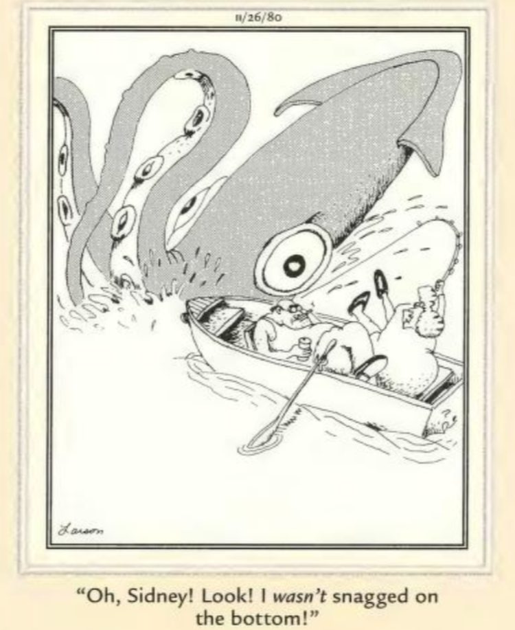 10 Funniest Far Side Comics About Fishing, Ranked