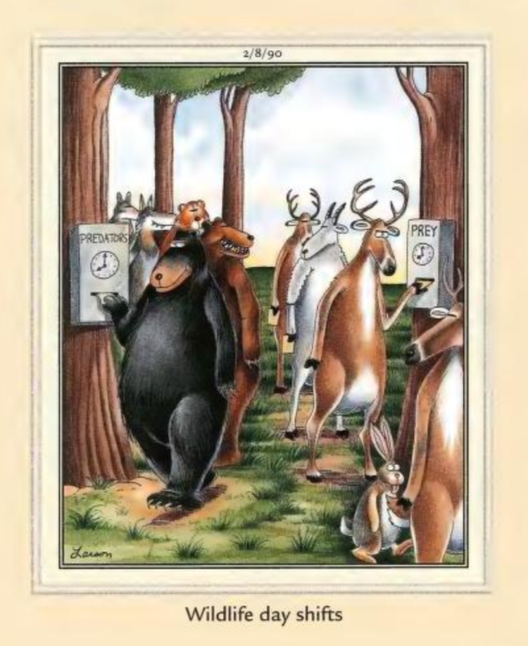 10 Funniest Far Side Comics Featuring Wild Animals, Ranked