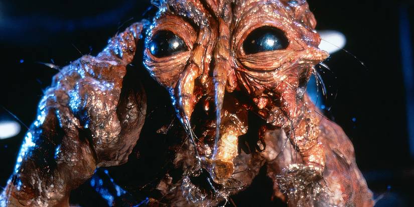 The Fly Sets Paramount+ Streaming Release Date