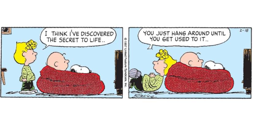 20 Best Peanuts Quotes, Ranked