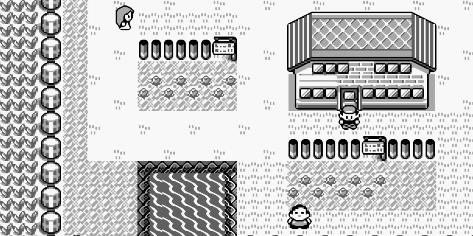 Every Pokémon Starting Town, Ranked