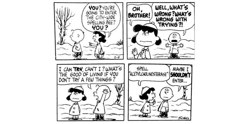 20 Best Peanuts Quotes, Ranked
