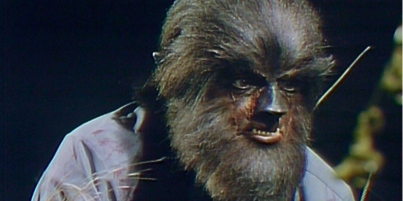 10 Werewolf TV Shows That Are Better Than Most Movies