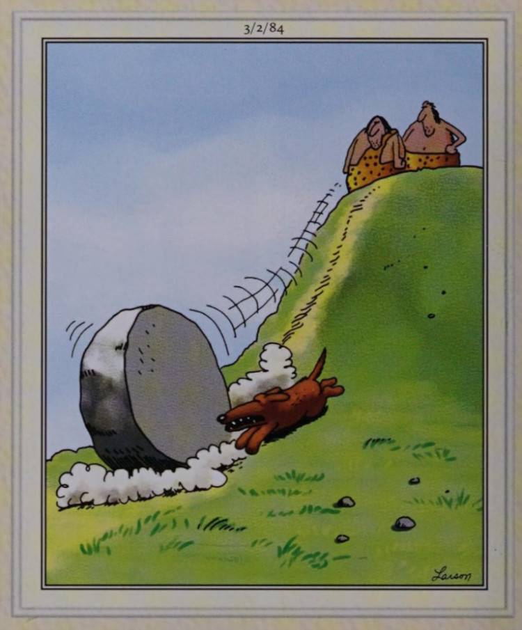 10 Hilarious Far Side Comics About The First Wheel